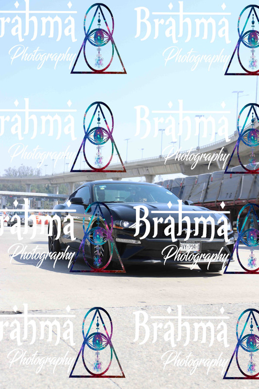 IMG 4841 — Postimages