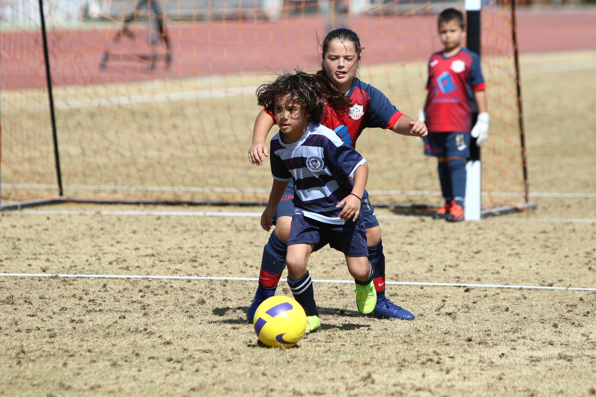 VIK 2110 — Postimages