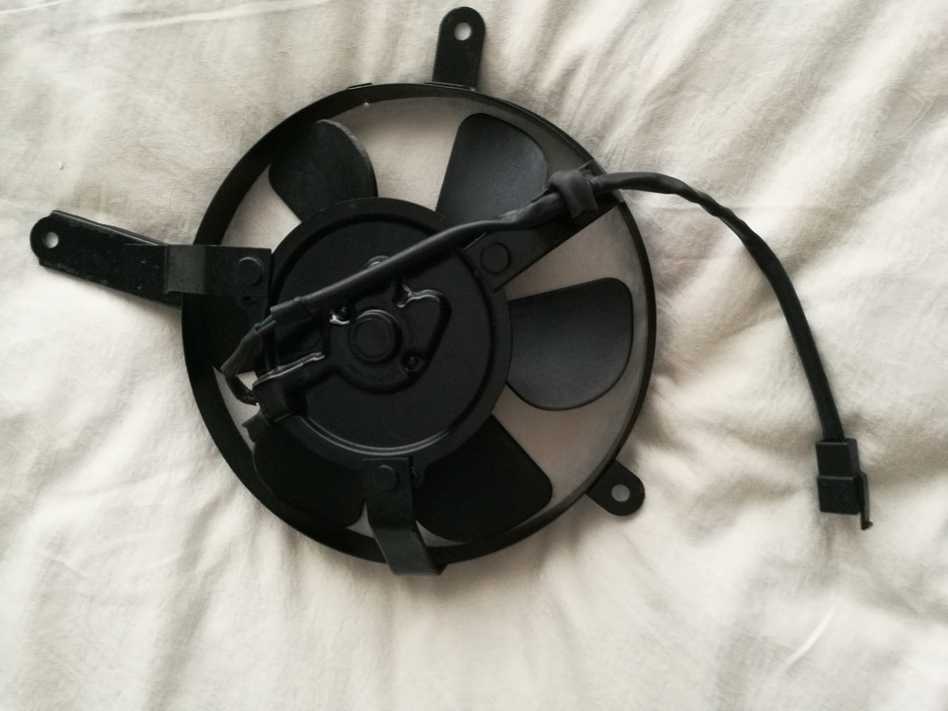 IMG 20200618 181304 — Postimages