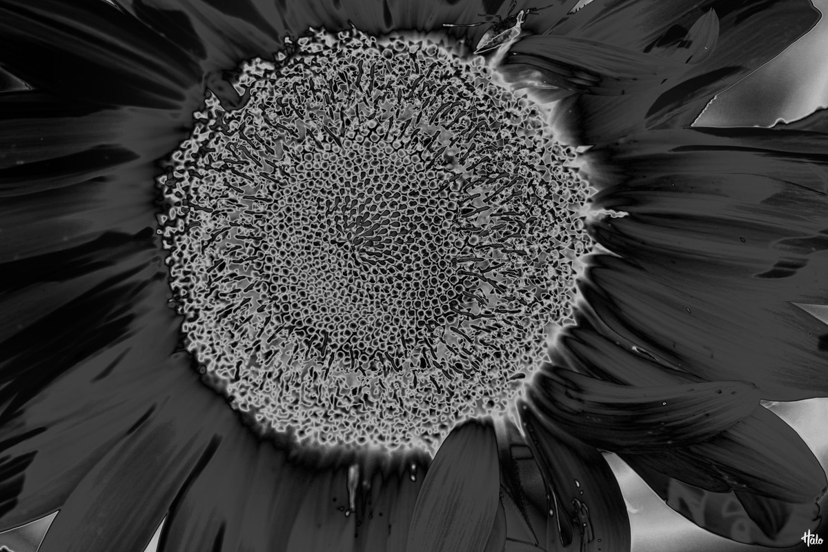 IMG 6284eeeeeee — Postimages