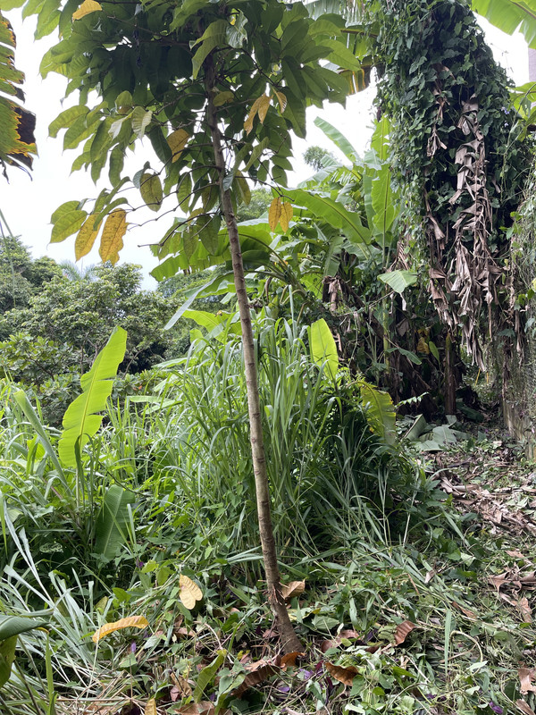 IMG 7741 — Postimages