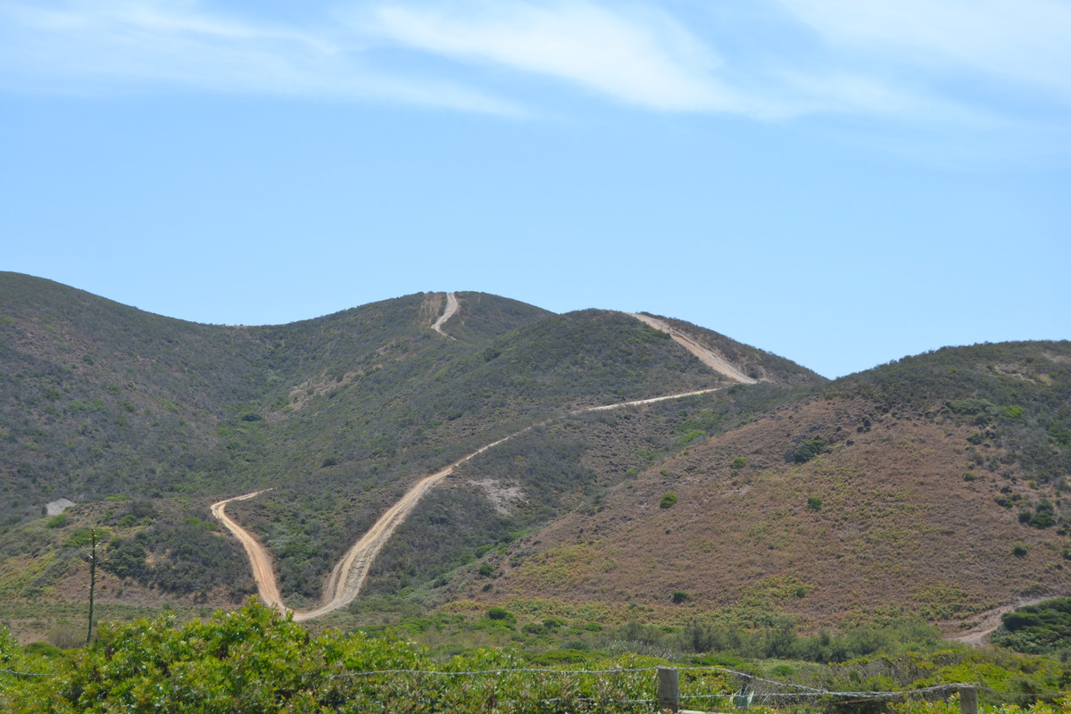 DSC 0139 — Postimages