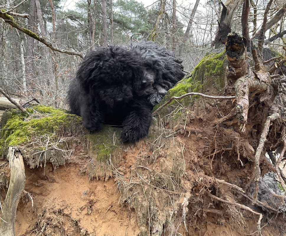 A0 D54 C63 A395 43 C4 BDDE 3 AF14611 E7 CB — Postimages