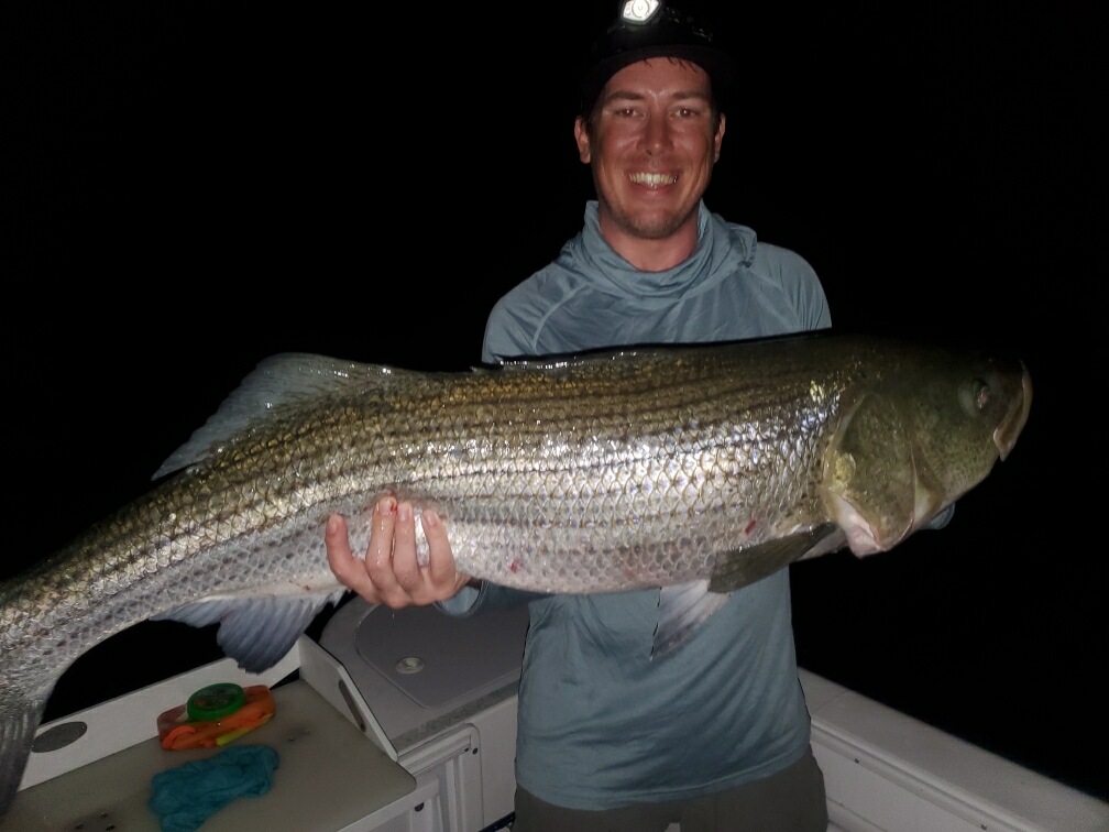 IMG 20220804 135235 — Postimages