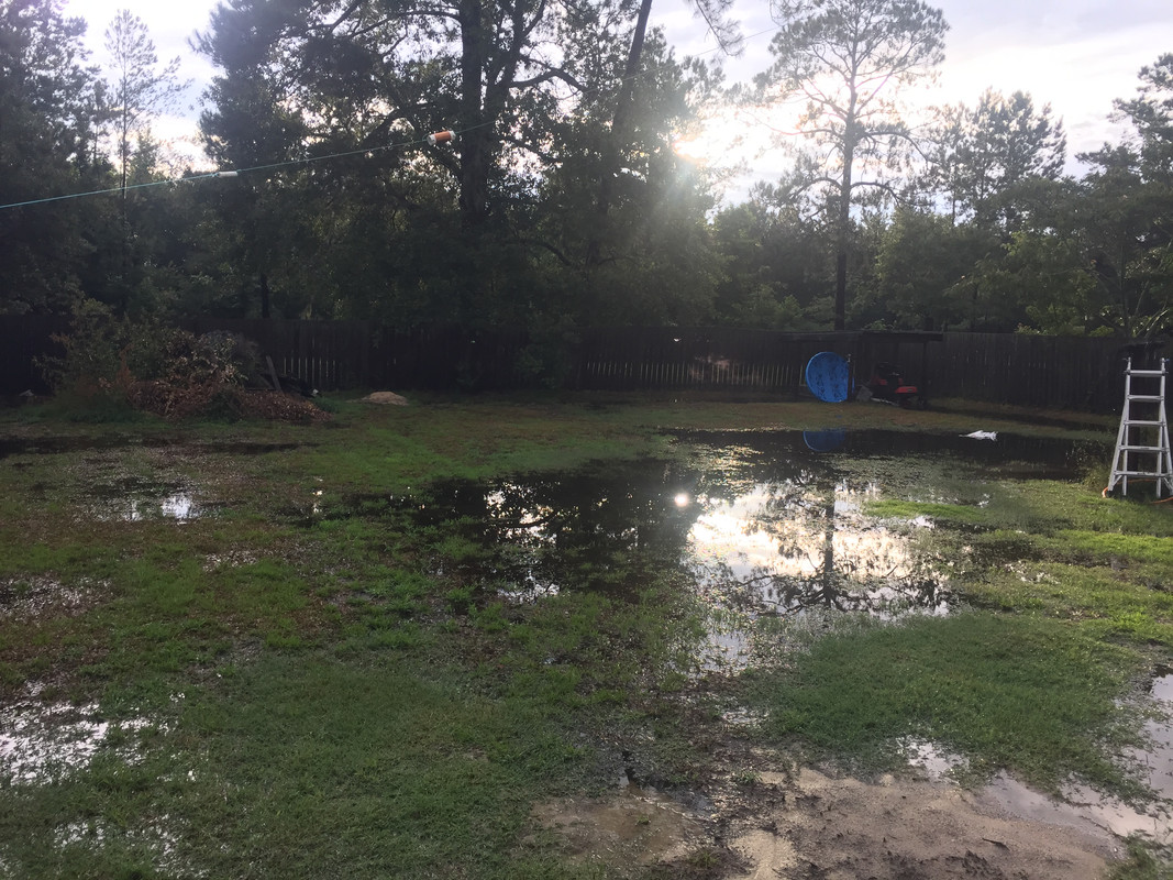 7 11 17 back after rain — Postimages