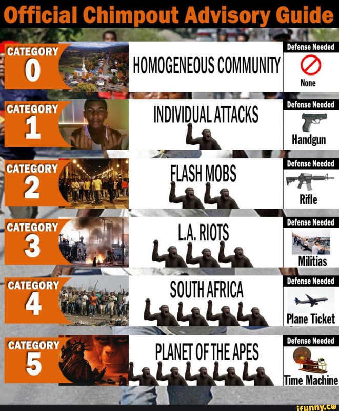 chimpout categories — Postimages