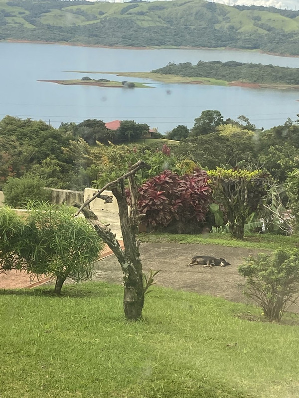 6049 D694 1151 4 E8 F A0 FC 6 E548 AE87 DA8 — Postimages