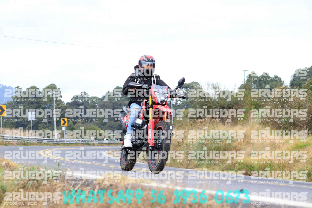 MG 0890 — Postimages