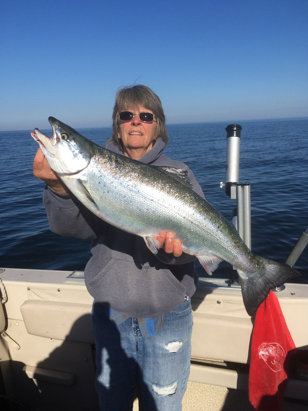 IMG 2925 — Postimages