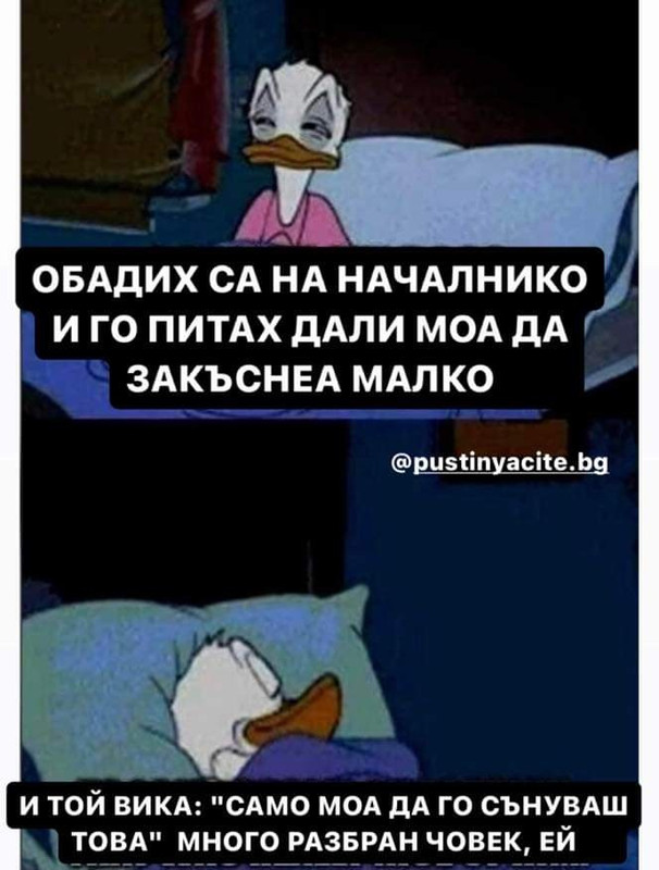 393674184 308677908547803 1293565408712973797 n — Postimages