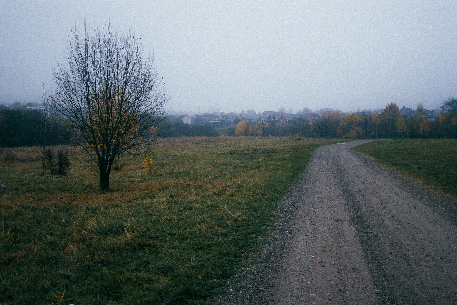 0087 2020 10 12 IMG 0813 — Postimages