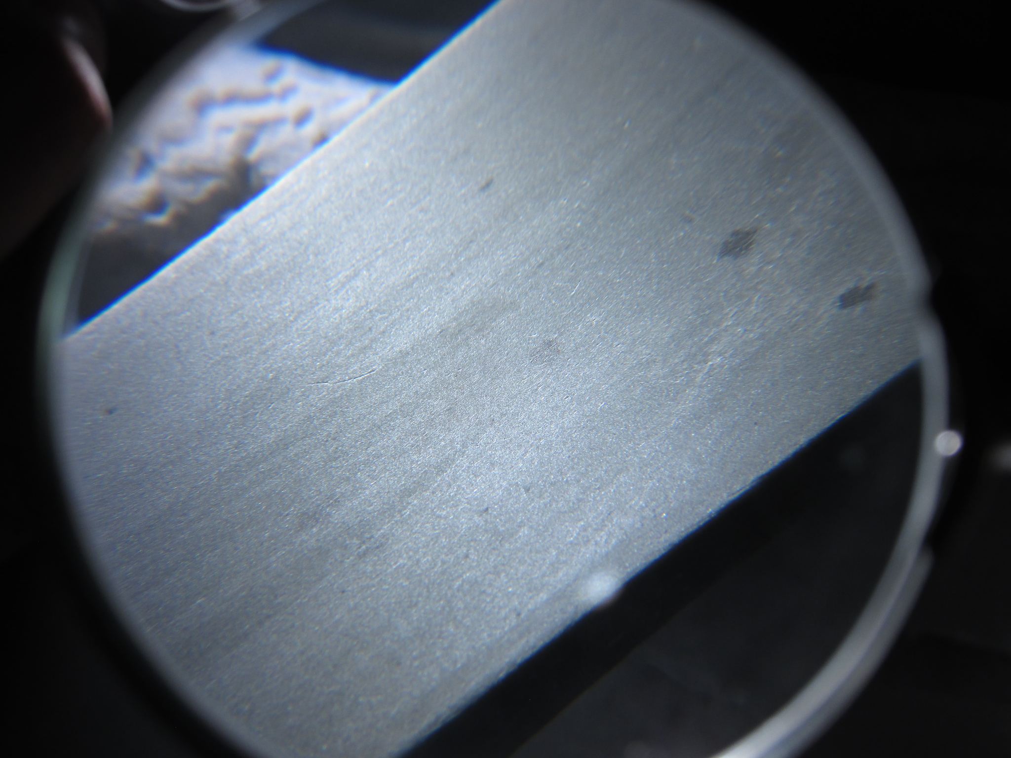 IMG 5683 — Postimages