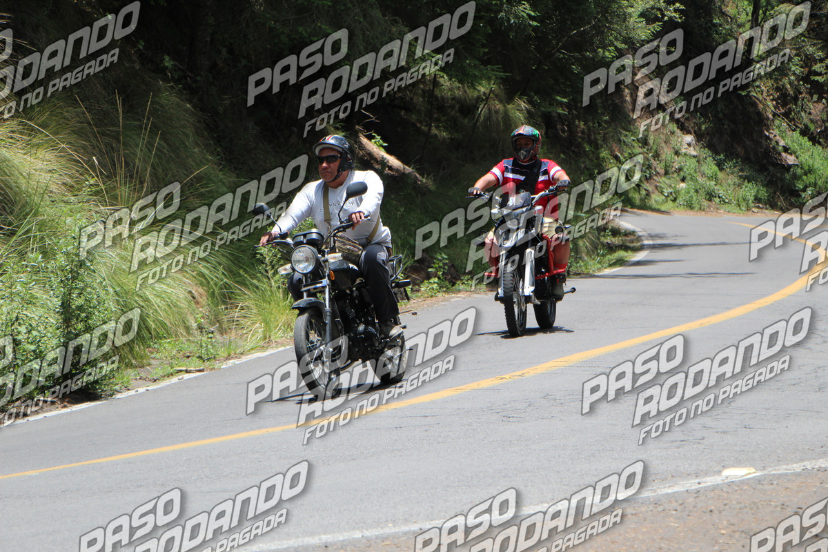 IMG 1249 wm 156074 watermarked — Postimages