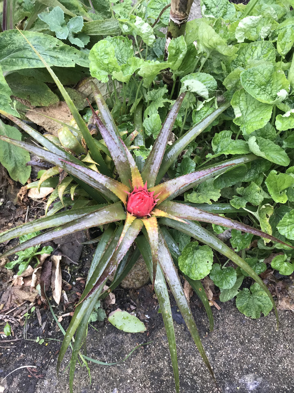 2 F0093 E4 0 B10 4 FC9 B5 A4 283 EE02 AB2 A5 — Postimages