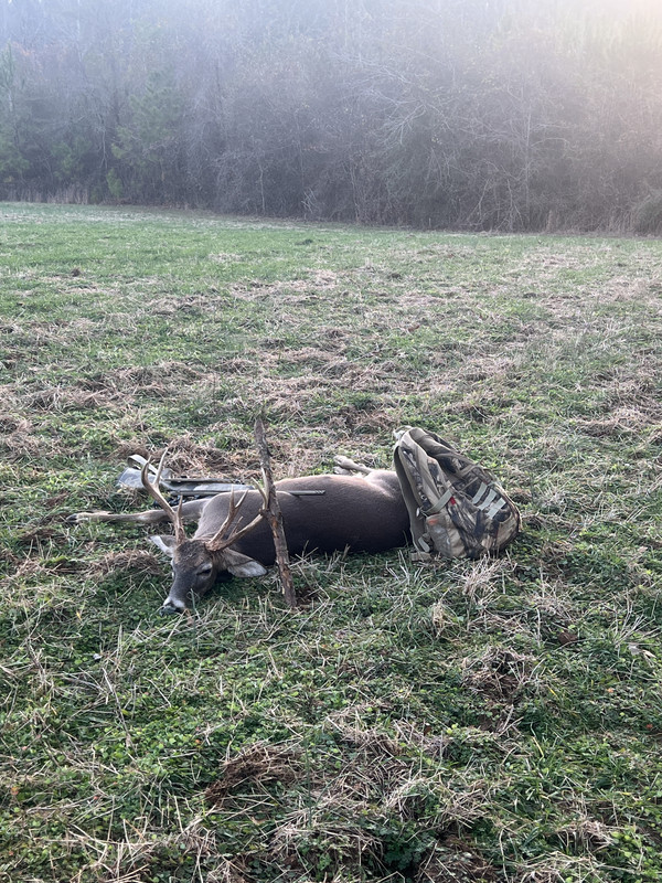 IMG 2954 — Postimages