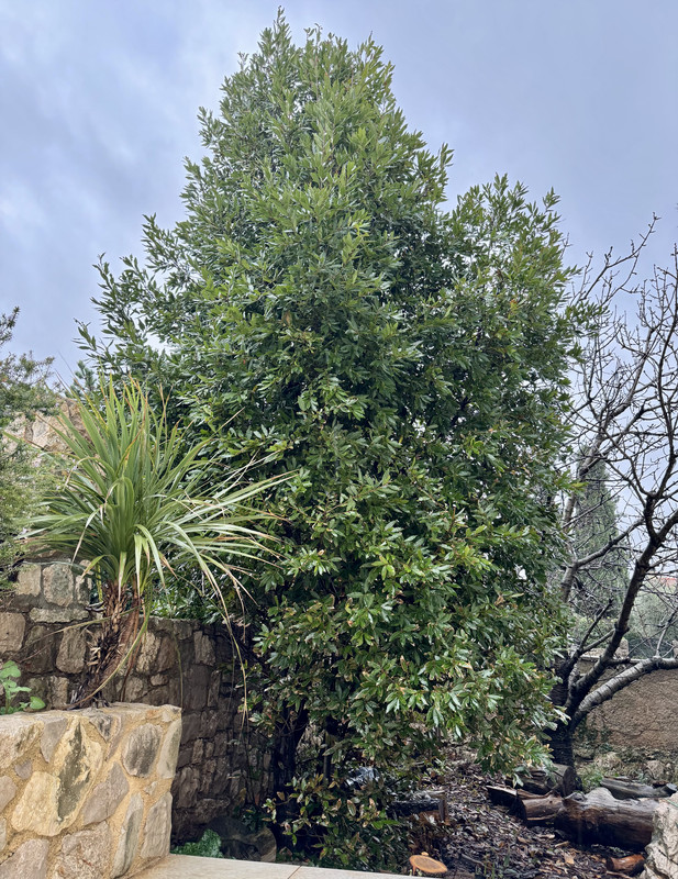 IMG 1048 — Postimages