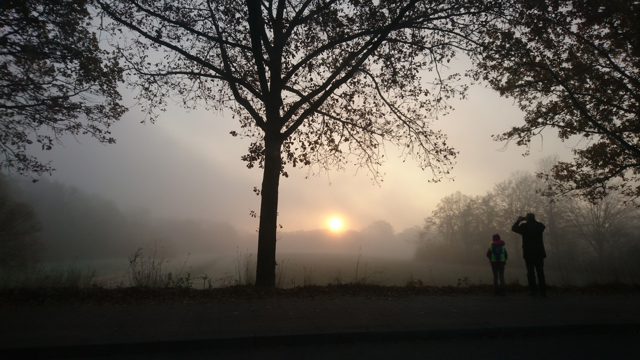 DSC 0309 — Postimages