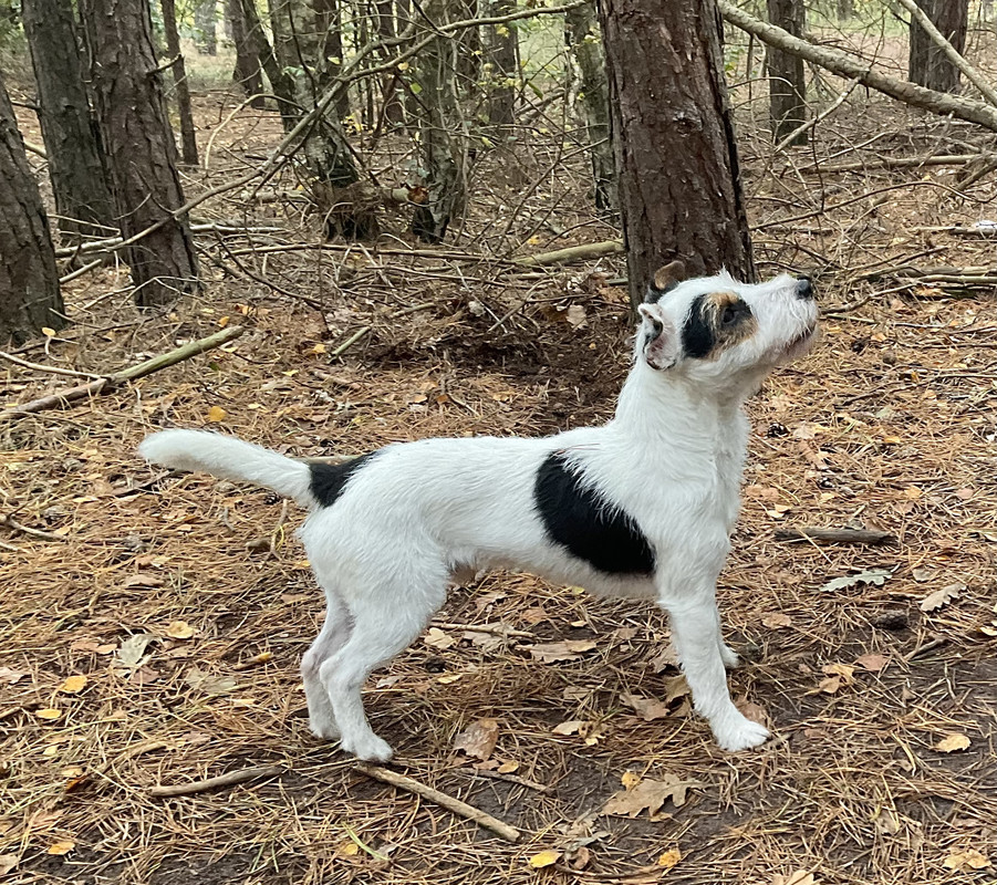 8 AC5 D350 E12 E 48 B1 89 B8 7 CD5 B9 EB249 D — Postimages