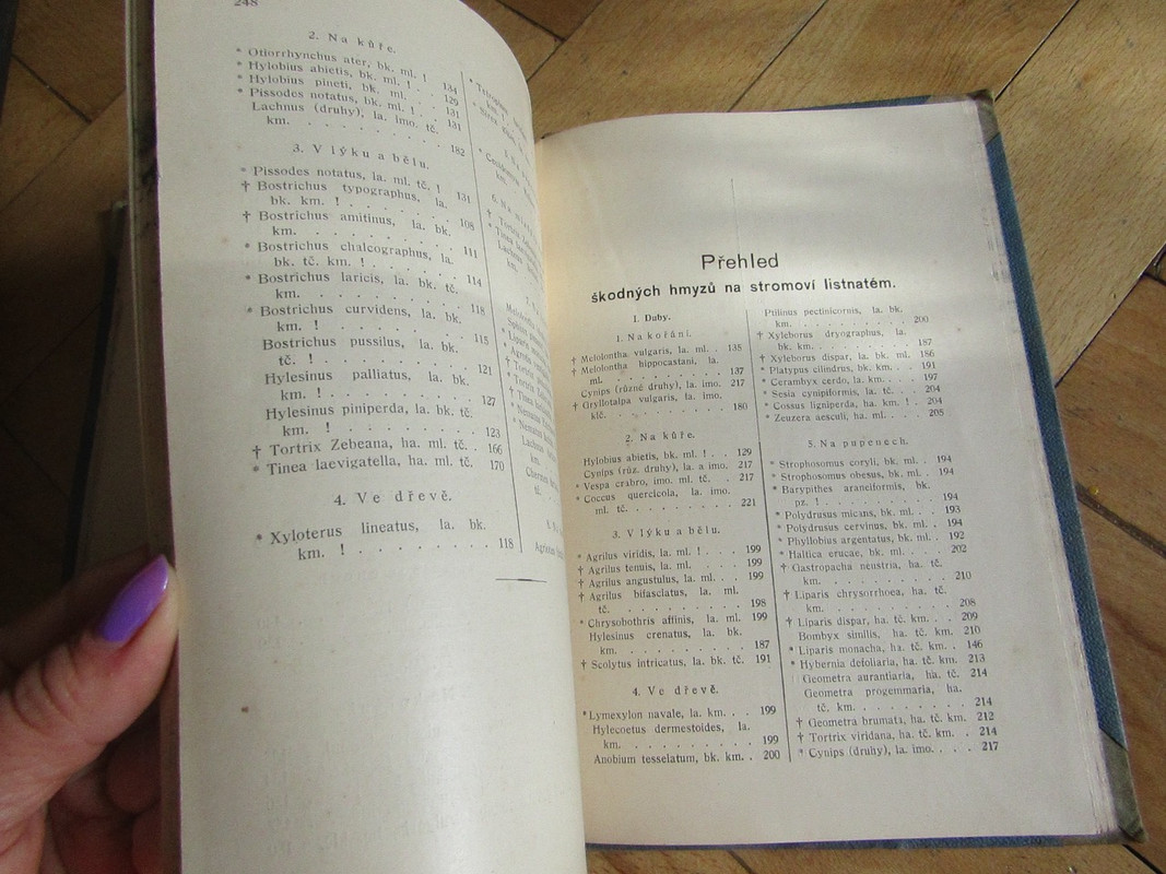 IMG 6280 — Postimages