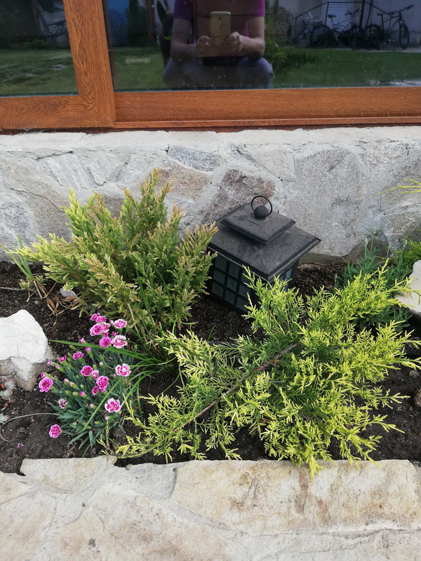 IMG 20220523 082629 — Postimages