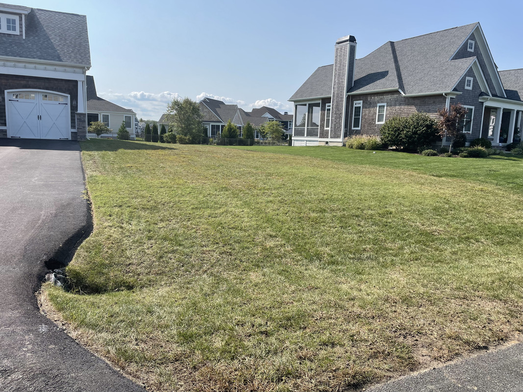 IMG 1051 — Postimages