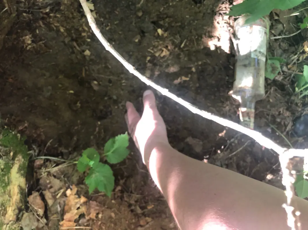 Evo K12ysa7 Y — Postimages