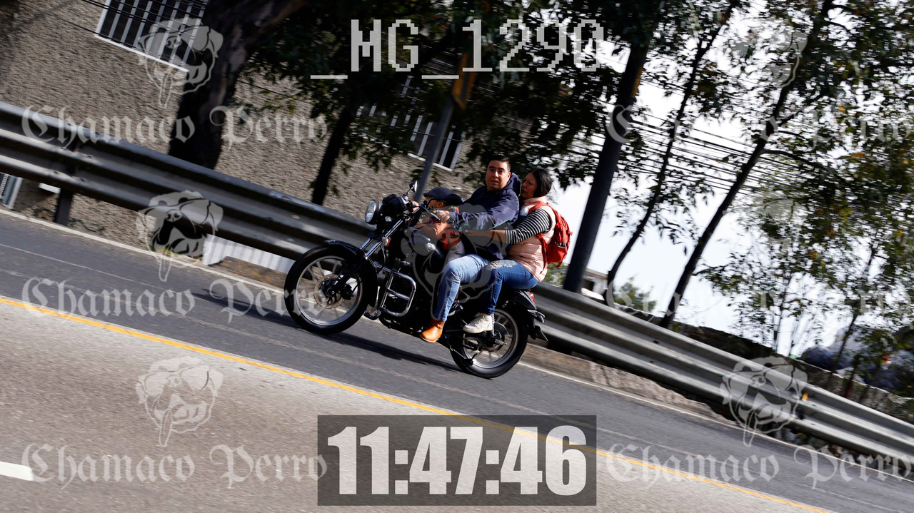 MUESTRA MG 1290 — Postimages