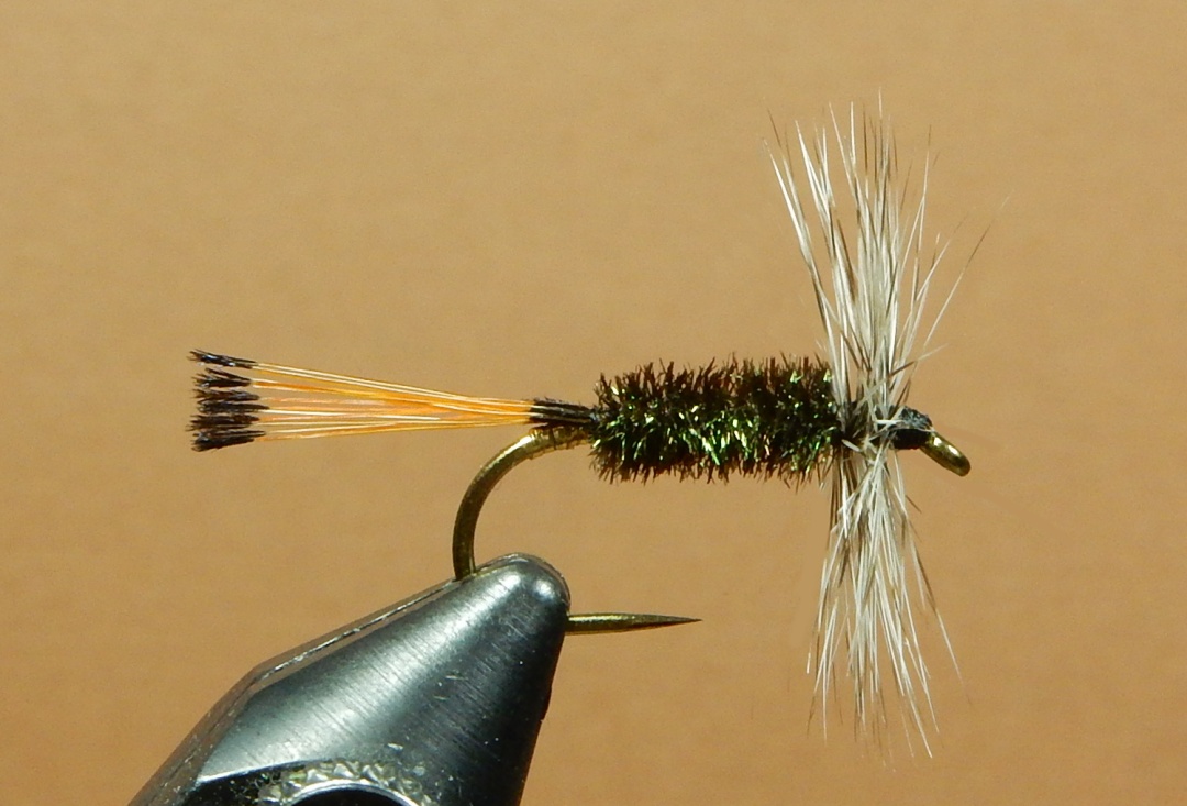 Gray Hackles - Fly Tying - Maine Fly Fish