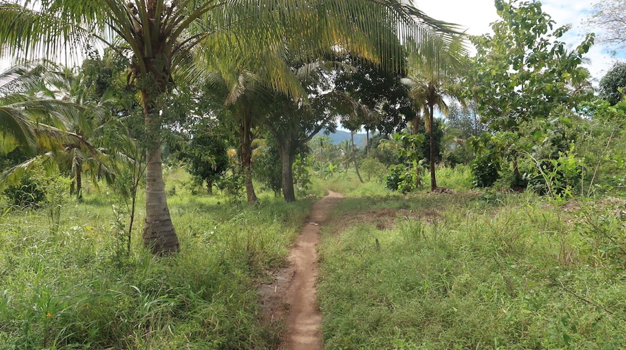 IMG 6114 — Postimages