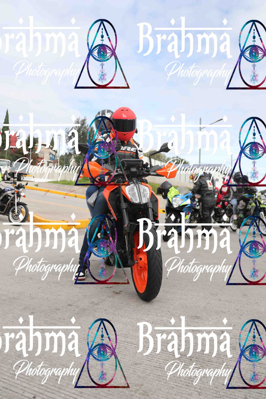 IMG 4203 — Postimages