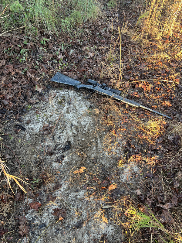 9 C9 A2 EE7 7 A79 4 B95 893 C 04 F18812 F5 DB — Postimages