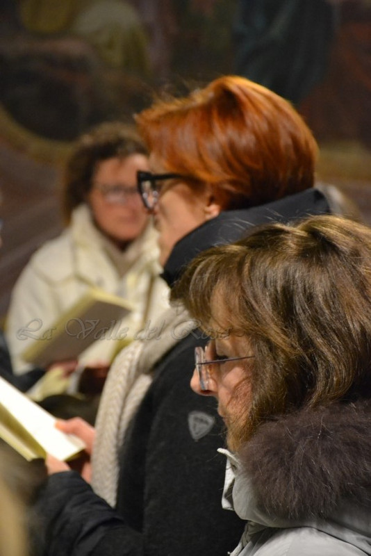 DSC 0245 — Postimages