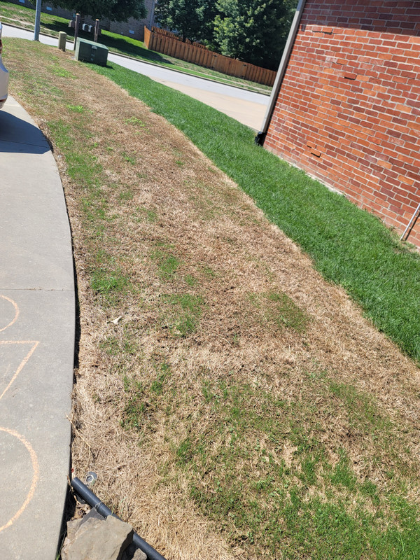 20220904 132500 — Postimages