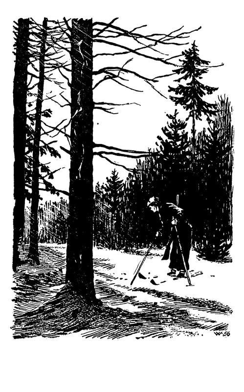 p0011 — Postimages