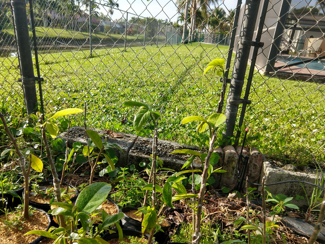 IMG 20210323 090940664 HDR — Postimages