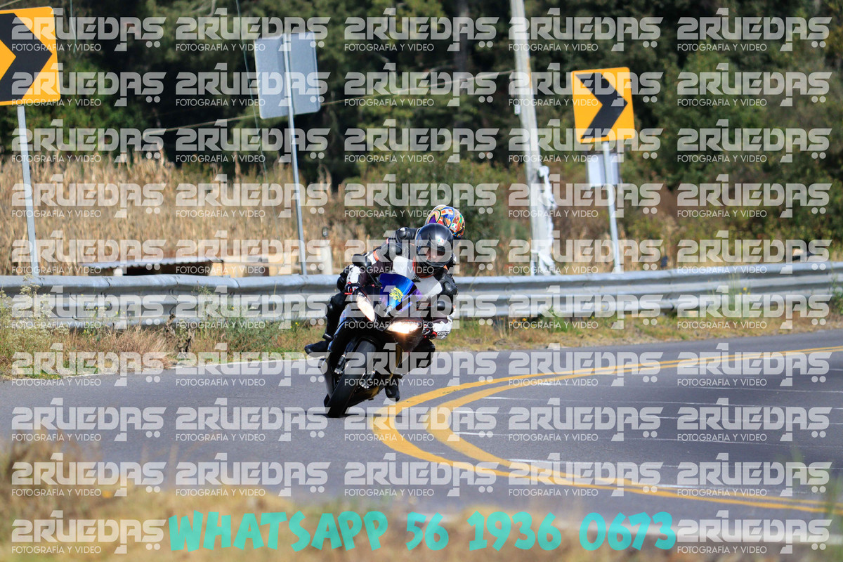 Album — Postimages