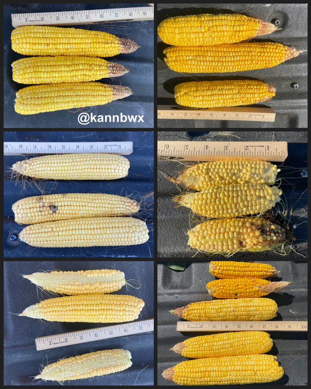 Fax YVMXo AAEkf Y — Postimages