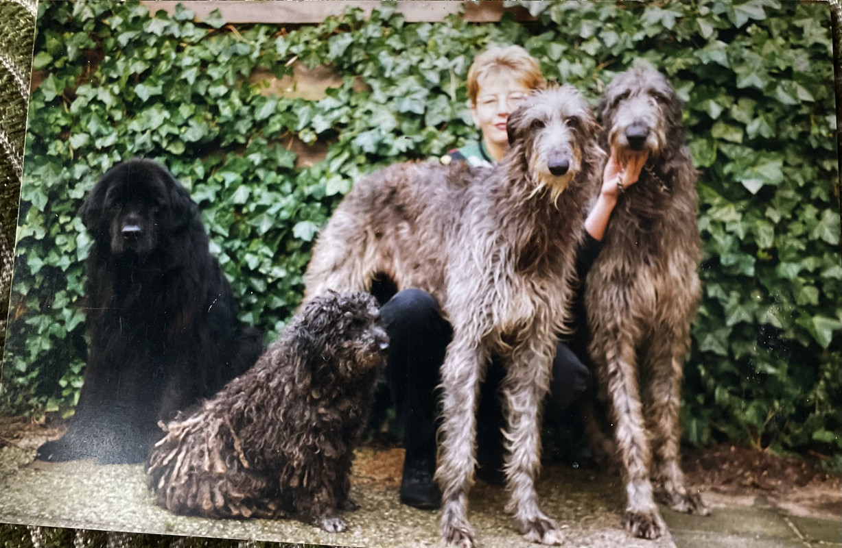 IMG 1225 — Postimages