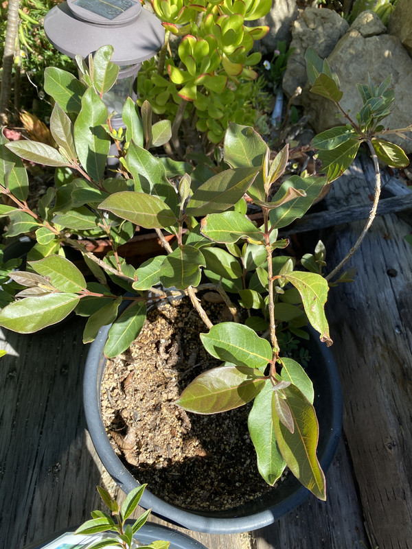 7 E0 F8038 0 D2 E 4 A06 A523 6558 A4 E8 DD4 A — Postimages