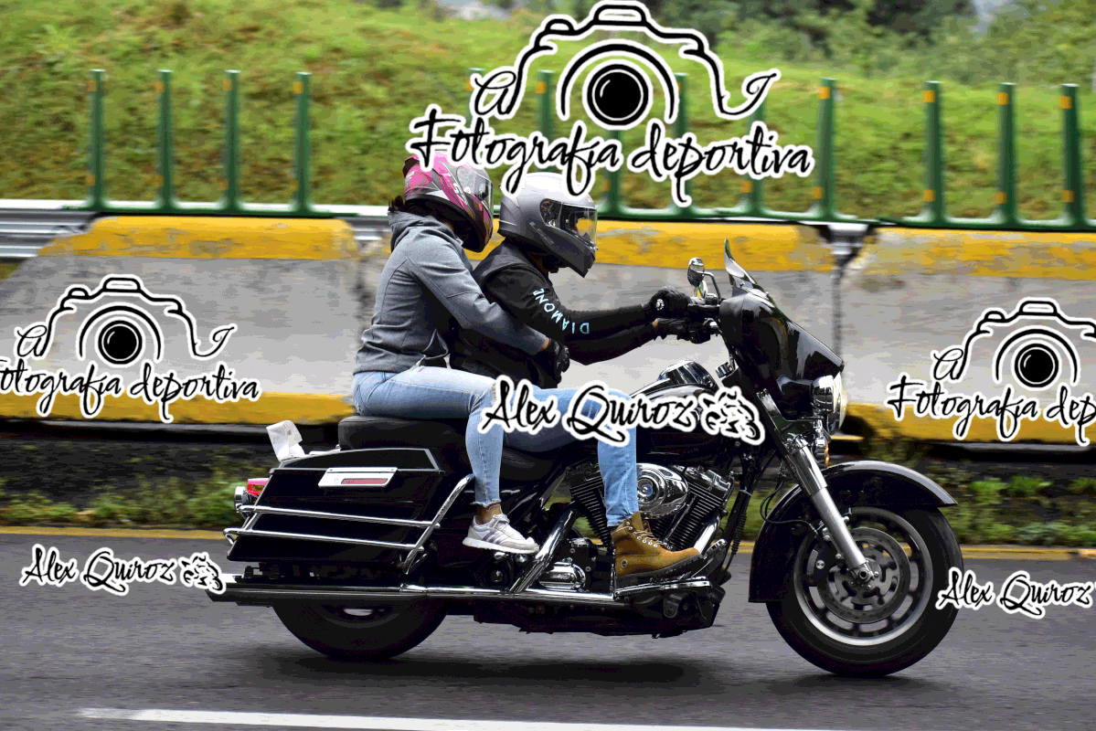 AVQ 7749 — Postimages