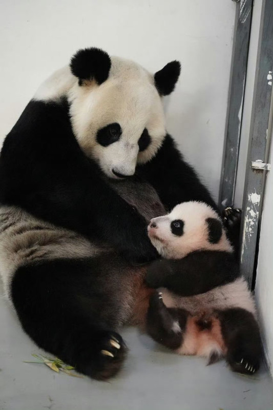 FD1 EEE7 A 8 E3 C 40 A0 806 A 772 B32 E7 B1 AA — Postimages