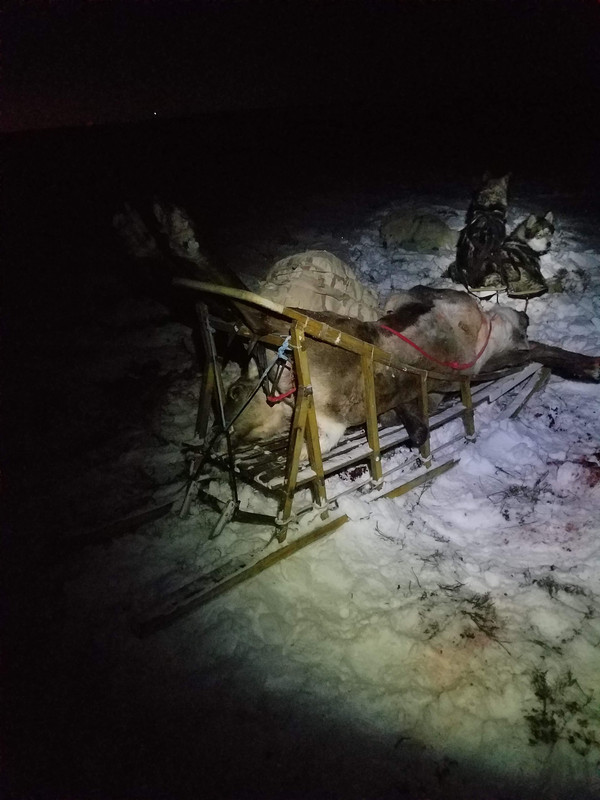 Flat based spitzer vs plastic tip or hollow point boat tail ...