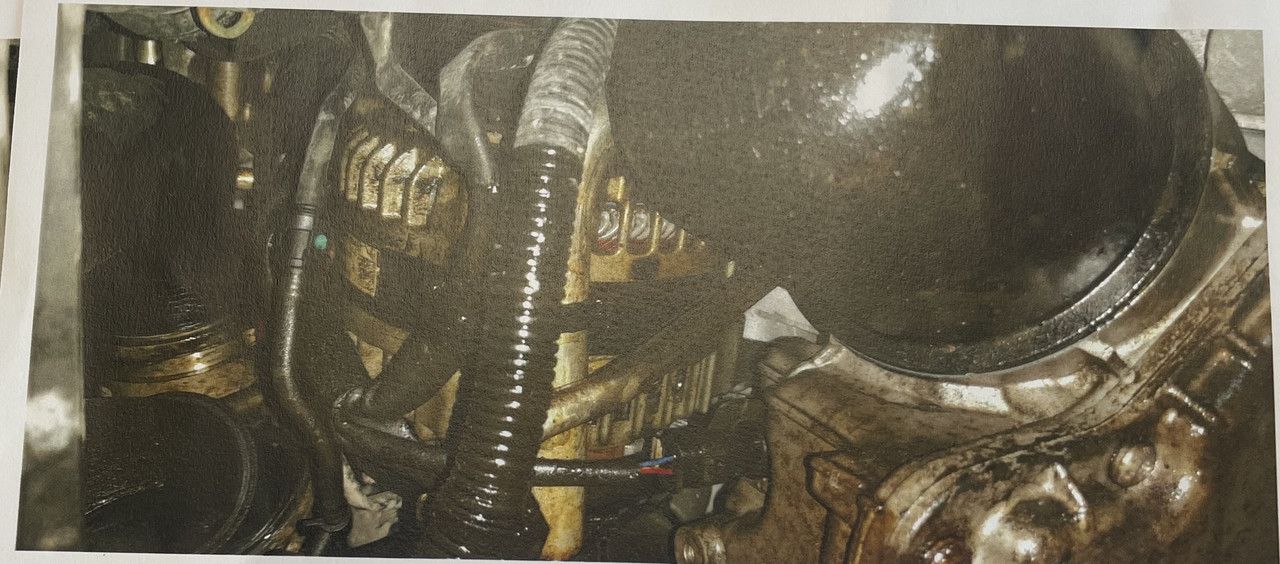 279 FF19 F 7 D50 4404 A9 D1 EE949 CCED3 E7 — Postimages