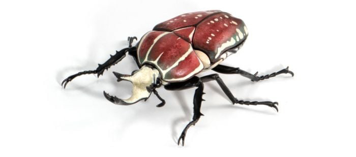 2025 Bugs & Friends Figure of the Year, Bandai Chinese tiger beetle