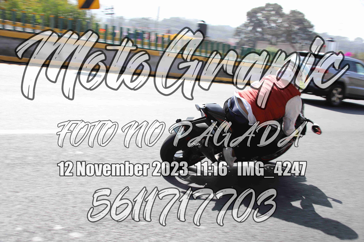 motgr IMG 4247 — Postimages