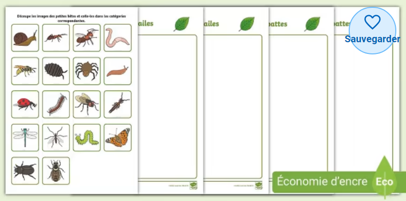 6 activités Montessori - Twinkl
