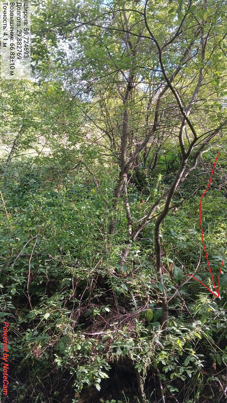 IMG 0575 — Postimages