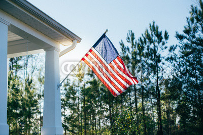 Column Flag Pole | Lawn Care Forum