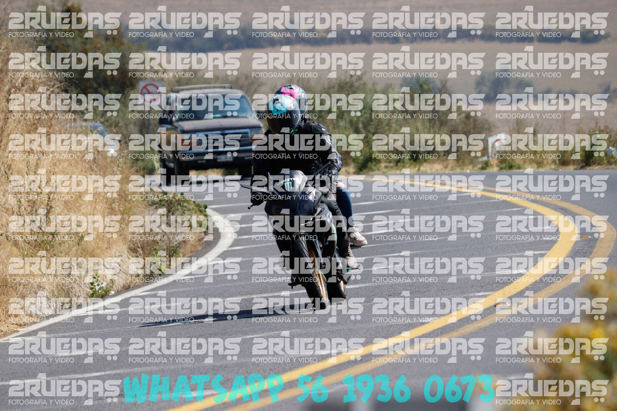 MG 0563 — Postimages