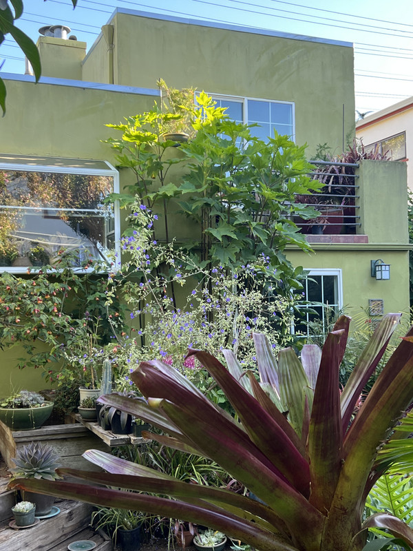 IMG 5149 — Postimages